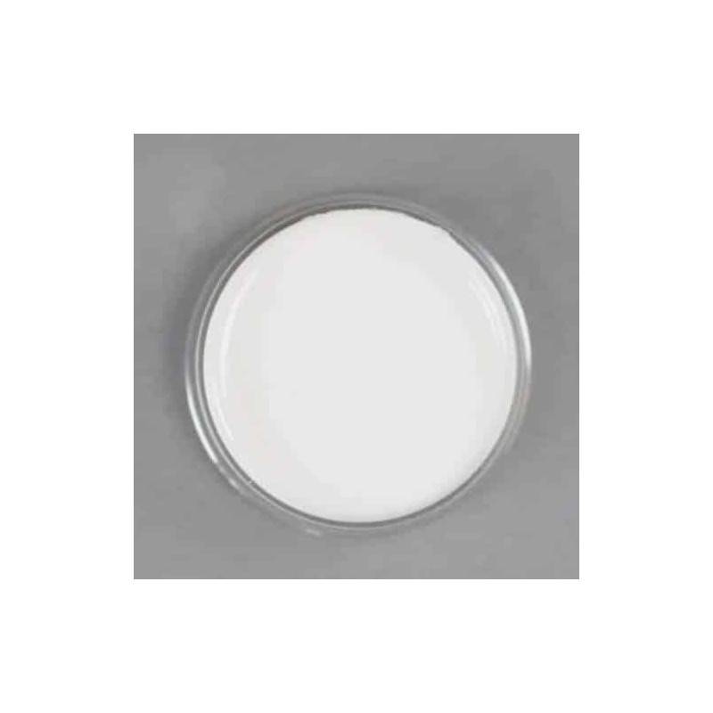 Titanium dioxide paste | Manis Chemicals